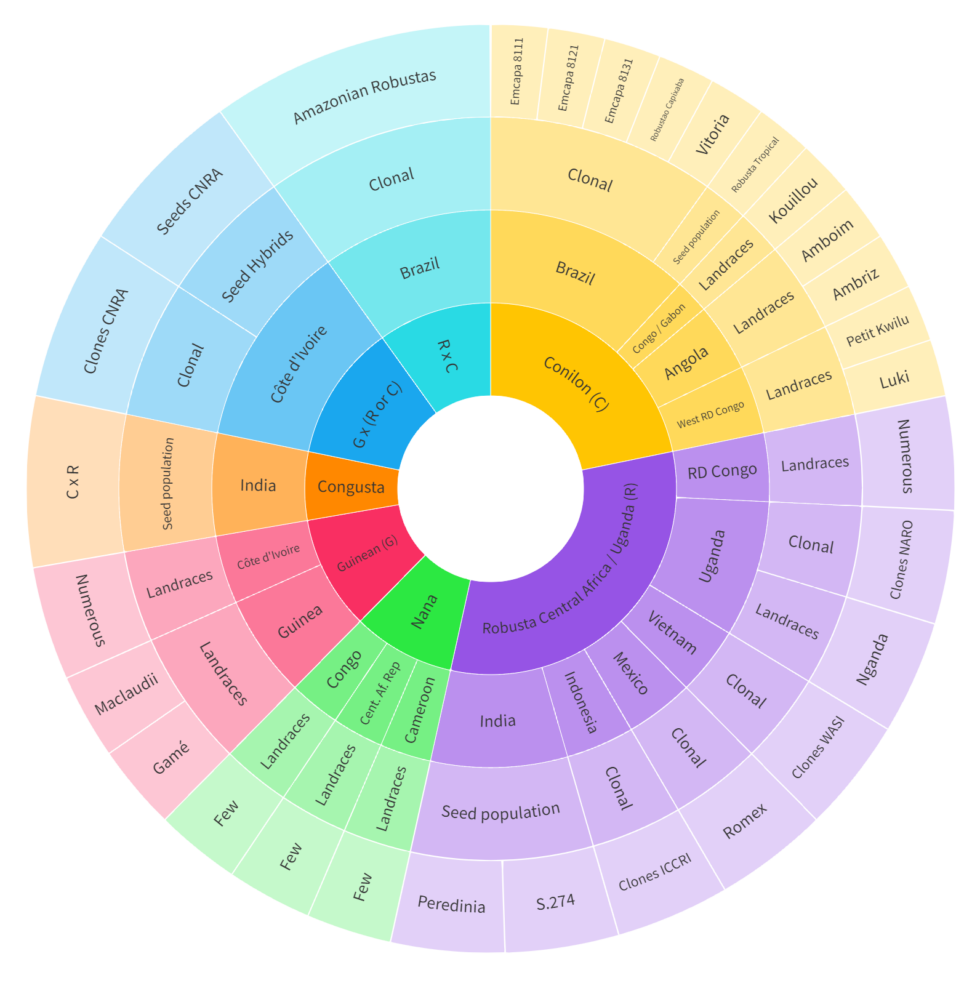 The Robusta coffee Cultivars Wheel® » 🌱 RD2 Vision